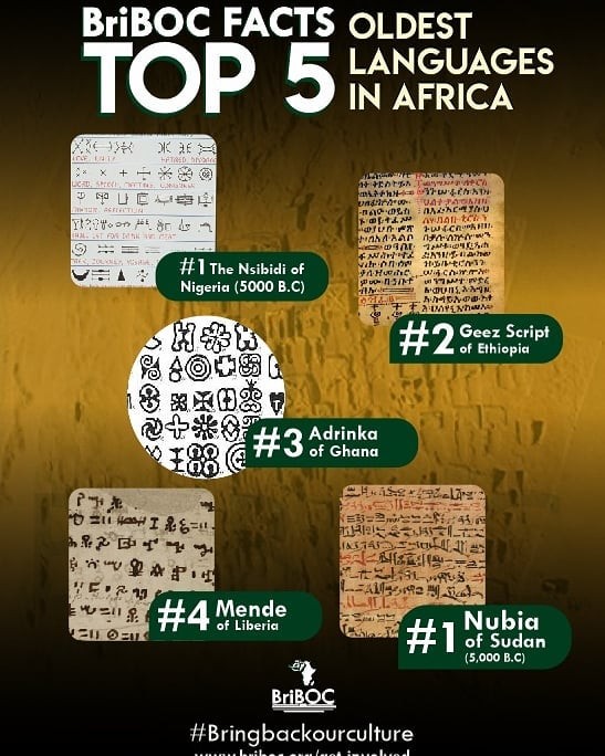 SAVE A LANGUAGE IN AFRICA | Chuffed | Non-profit charity and social ...